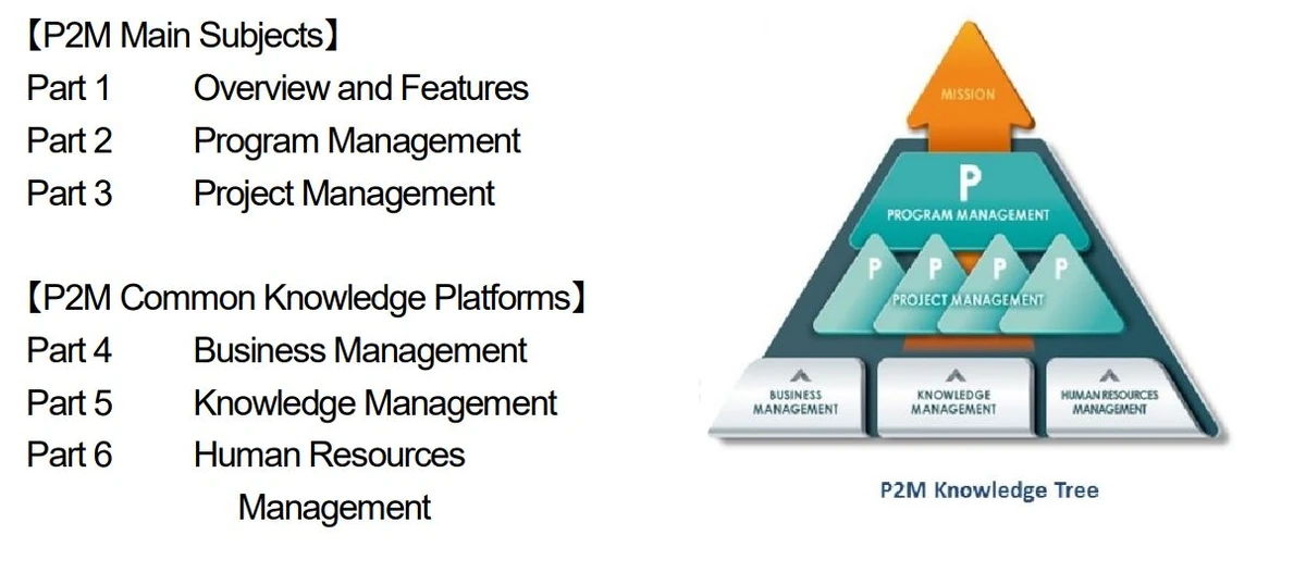 P2M | Estándares en PM Wiki | Fandom