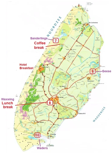 Texel 25 & 26 November 2017 | ESTEC Bird Watching Club Wiki | Fandom