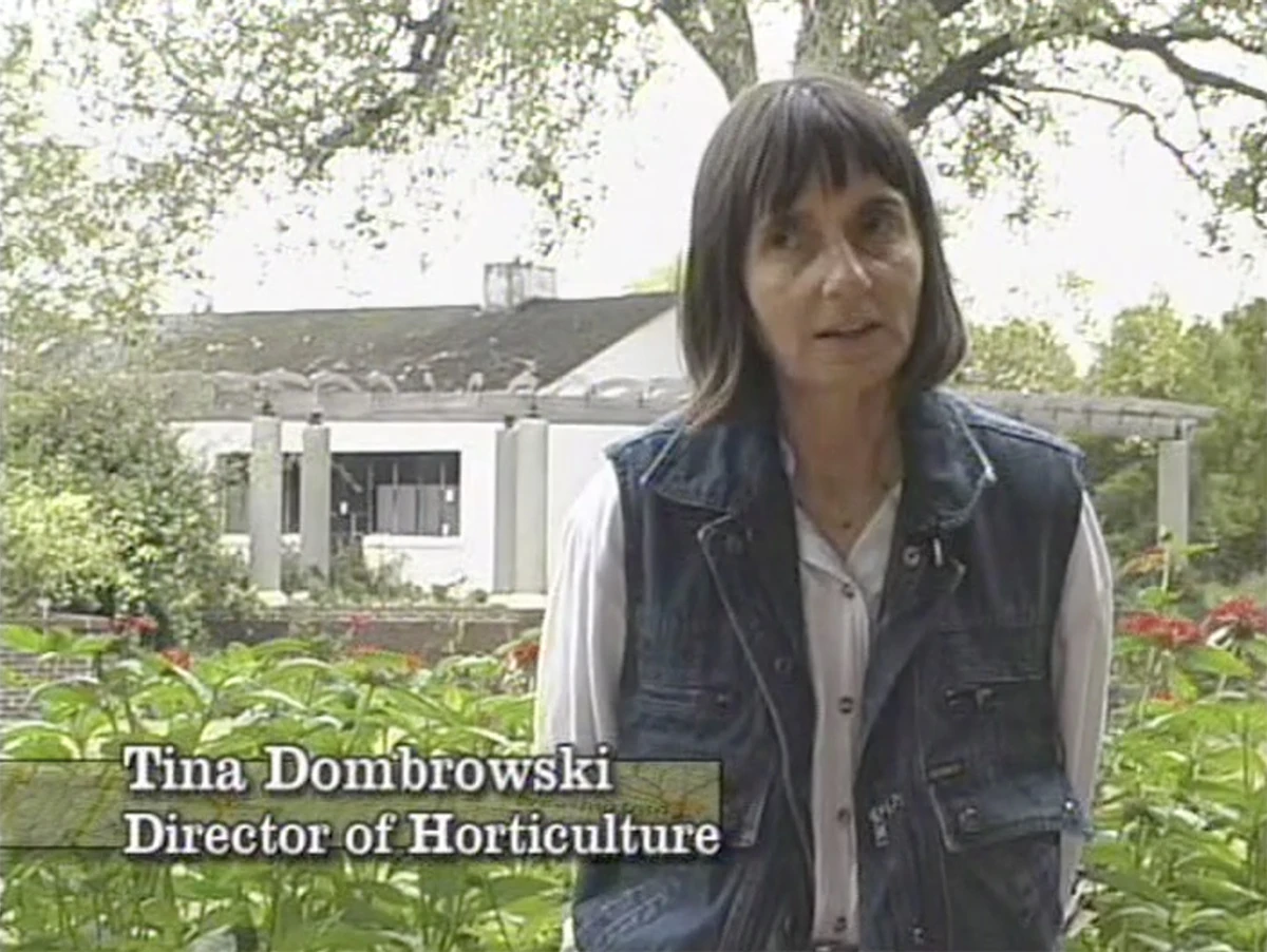 Tina Dombrowski | Esteem Education Wiki | Fandom