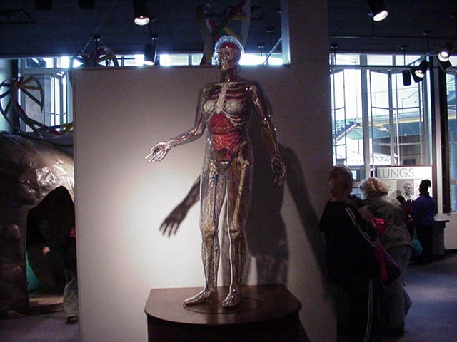 Science Place | Esteem Education Wiki | Fandom