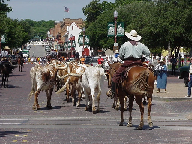Fort Worth Stockyards | Esteem Education Wiki | Fandom