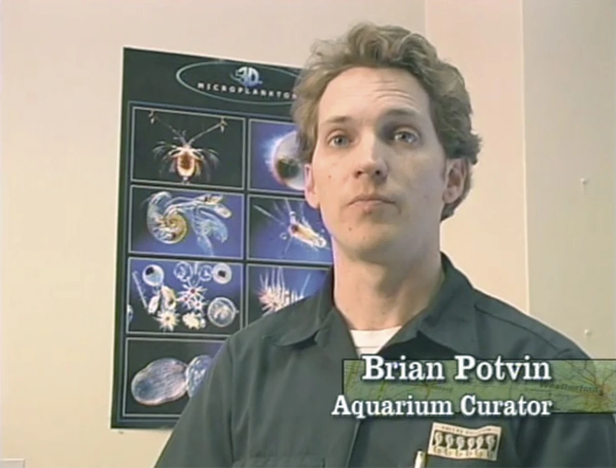 Brian Potvin | Esteem Education Wiki | Fandom