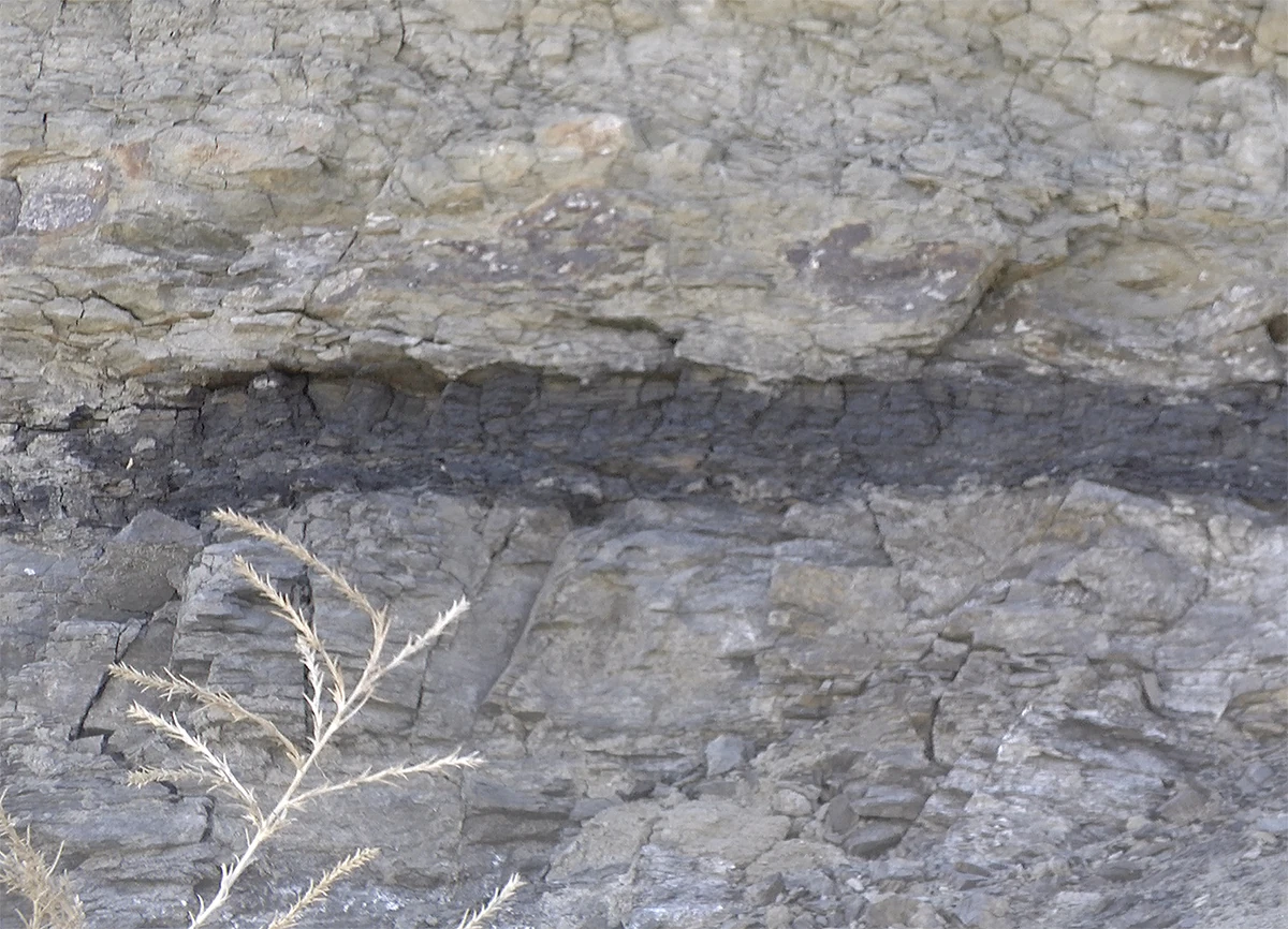 Coal | Esteem Education Wiki | Fandom