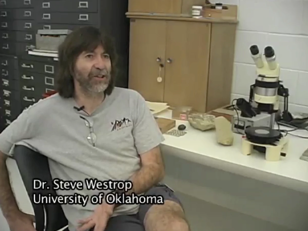 Steve Westrop | Esteem Education Wiki | Fandom