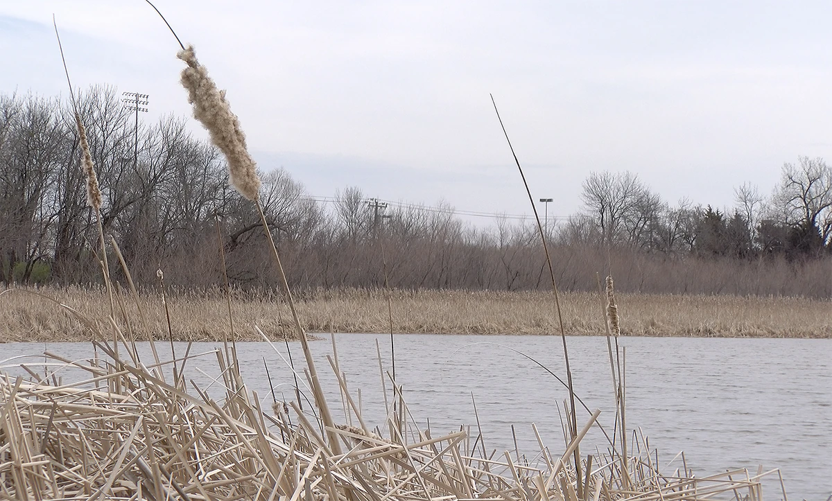 Stinchcomb Wildlife Refuge | Esteem Education Wiki | Fandom
