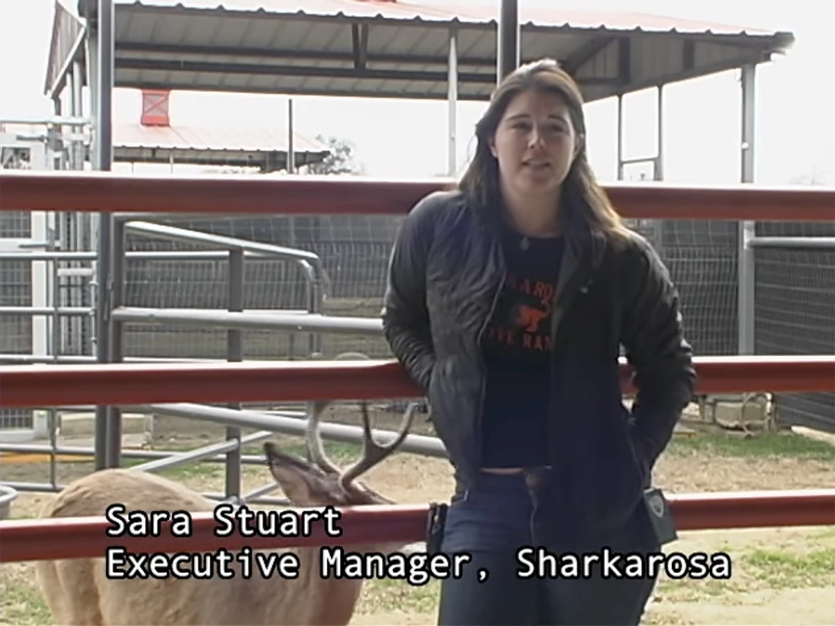 Sara Stuart | Esteem Education Wiki | Fandom