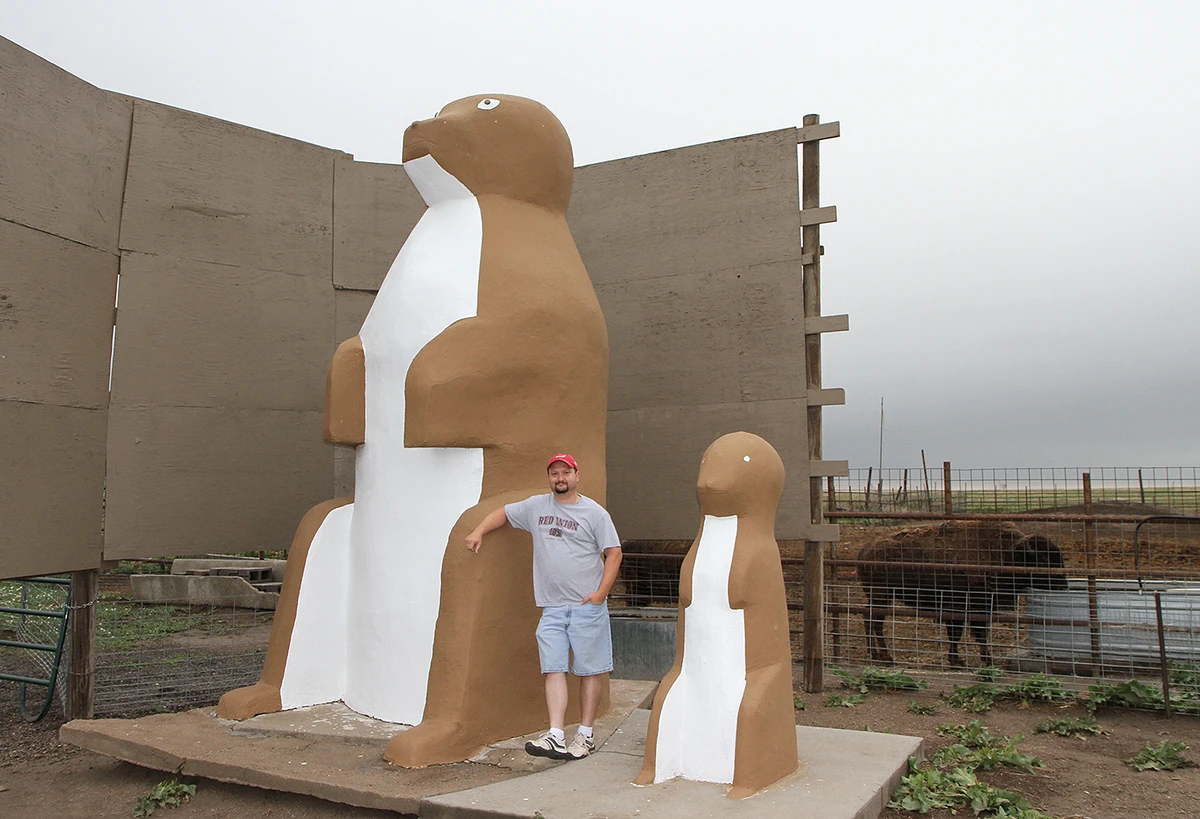 Prairie Dog Town | Esteem Education Wiki | Fandom