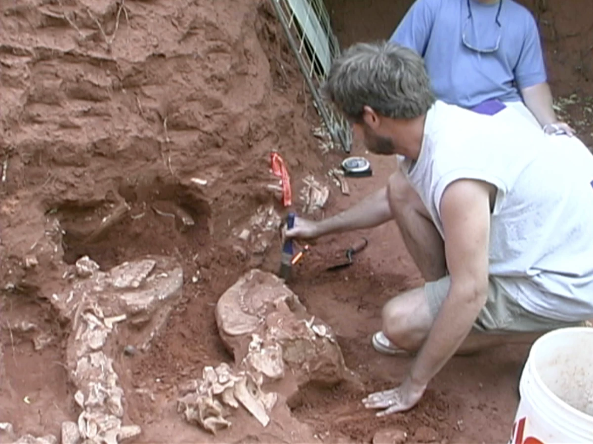 Certain Bison Kill Site | Esteem Education Wiki | Fandom