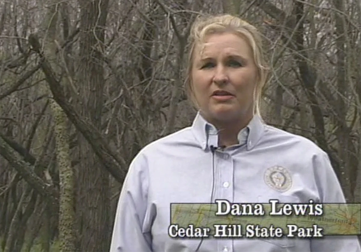 Dana Lewis | Esteem Education Wiki | Fandom