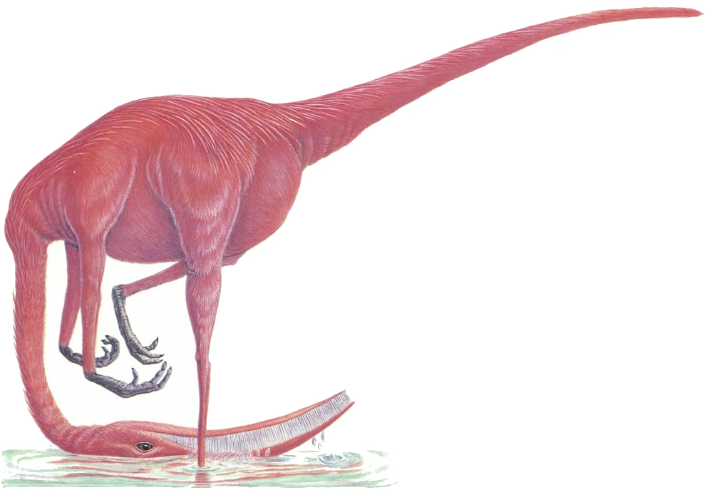 Fulgo | Estelares Wiki | Fandom