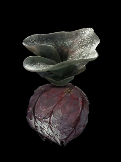 Tubera (No Oficial) | Wikihammer 40k | Fandom