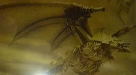 Harridan | Wikihammer 40k | Fandom