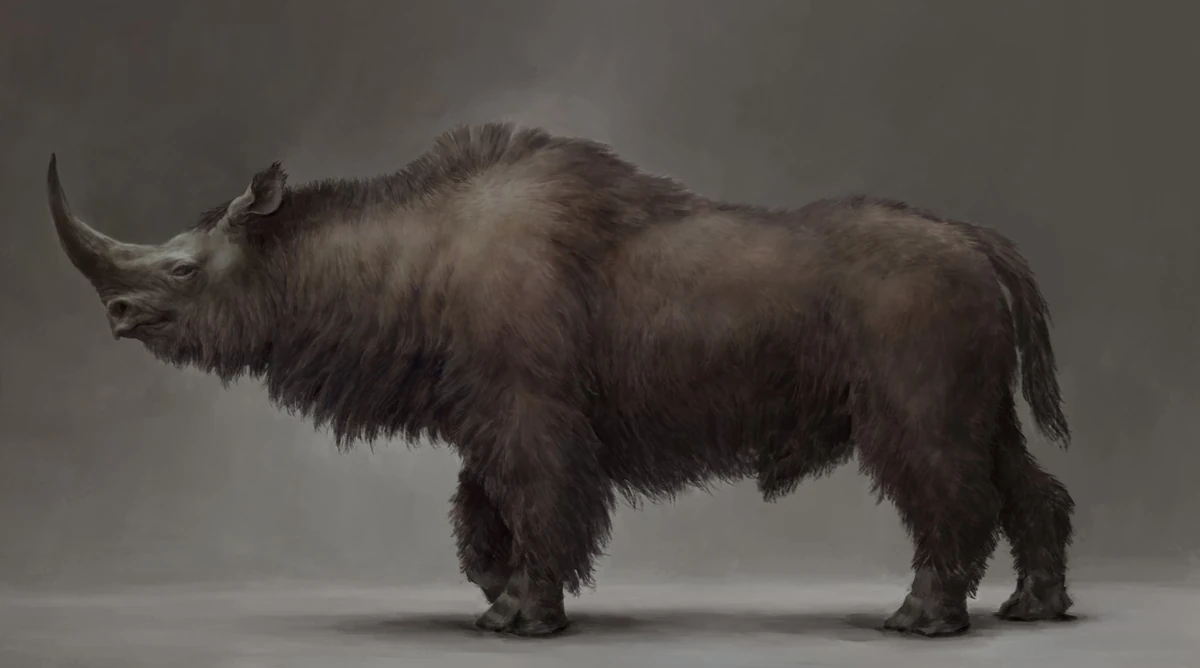 Murk (No Oficial) | Wikihammer 40k | Fandom