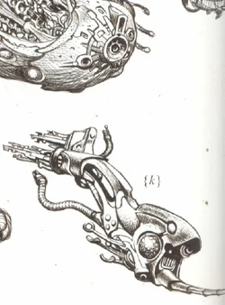 Q'Orl | Wikihammer 40k | Fandom