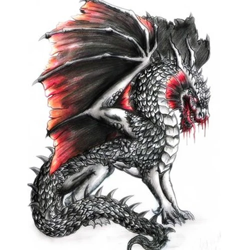 Vampire Dragons | Etan Wiki | Fandom