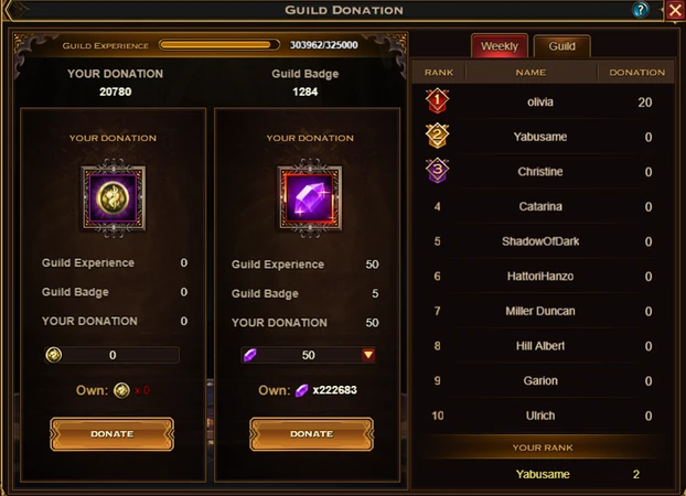 Guild | Eternal Fury Wiki | Fandom