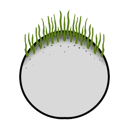 Entomophilous Skin Mutation | The Eternal Cylinder Wiki | Fandom