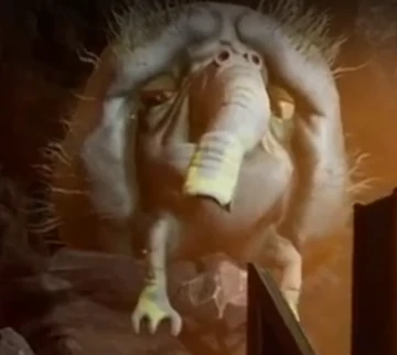 Totel | The Eternal Cylinder Wiki | Fandom