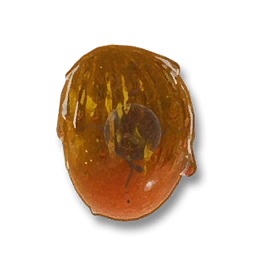 Amber Eye | The Eternal Cylinder Wiki | Fandom