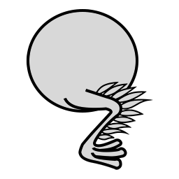 Avian Legs Mutation | The Eternal Cylinder Wiki | Fandom