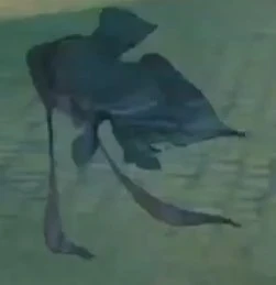 Ancient Fish | Eternal Sonata Wiki | Fandom