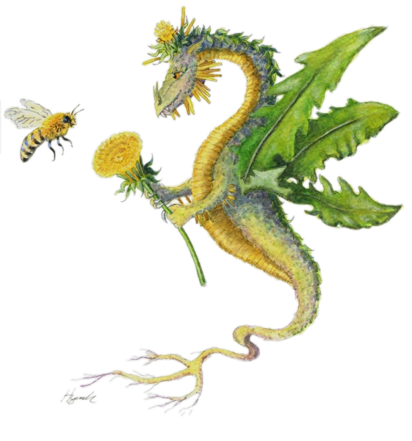 Dandelion Dragon | Éternel Wiki | Fandom