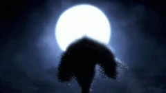 Night Terror | Éternel Wiki | Fandom
