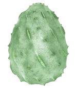 Prickleboggle | Éternel Wiki | Fandom