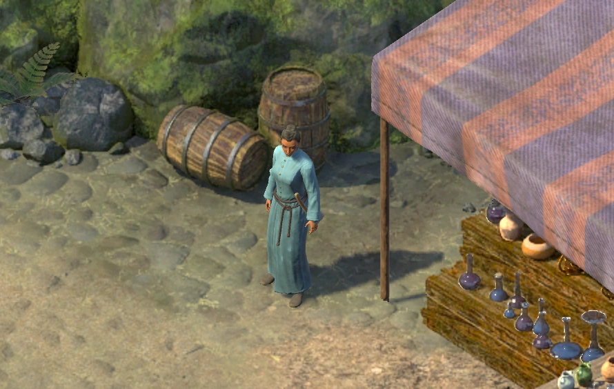 Temple Vendor - Official Pillars of Eternity Wiki