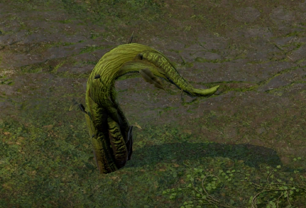 Assassin vine - Official Pillars of Eternity Wiki