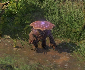 Sporeling (Deadfire) - Official Pillars of Eternity Wiki