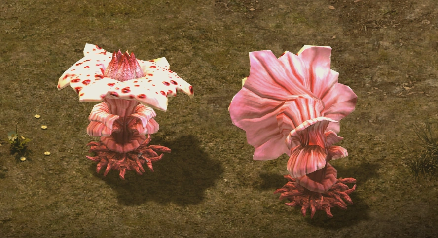 Swamp Spore - Official Pillars of Eternity Wiki