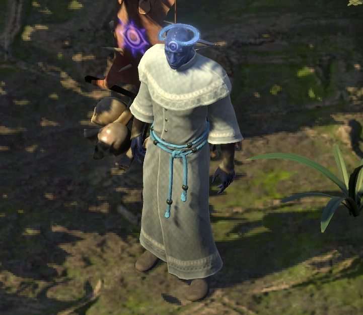 Druid of Winter - Official Pillars of Eternity Wiki