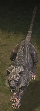 Elder stelgaer - Official Pillars of Eternity Wiki