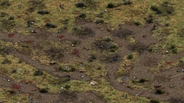 Yenwood Field - Official Pillars of Eternity Wiki