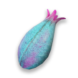 Electric Lily Seed - Official Pillars of Eternity Wiki