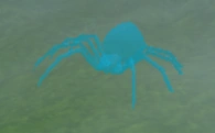 Ice Spider | Eterspire Wiki | Fandom