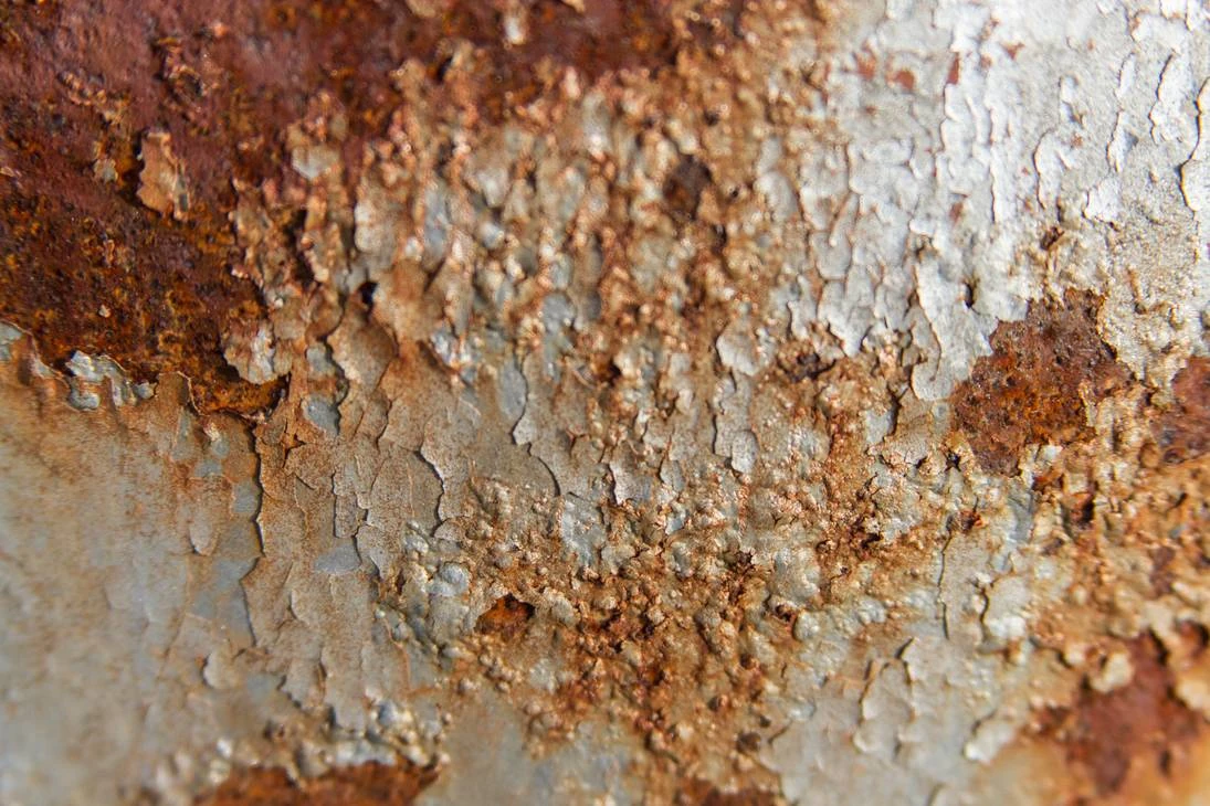 Rust Mite | Ethan Skewes Wiki | Fandom