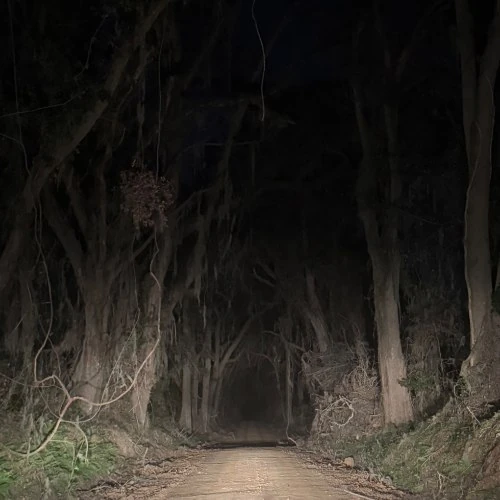 Make Room In Hell | Ethel Cain Wiki | Fandom