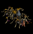 Dark Elf Buildings | Warlords Battlecry Wiki | Fandom