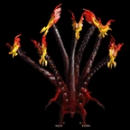 Pyrohydra/1.03 | Warlords Battlecry Wiki | Fandom