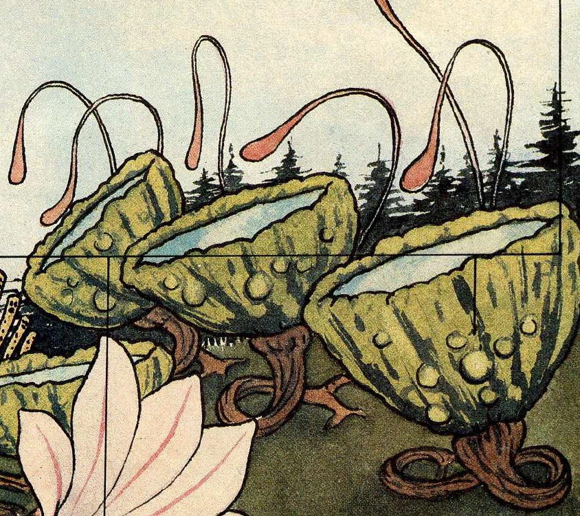 Timpanum | E.T. The Extra Terrestrial Wiki | Fandom