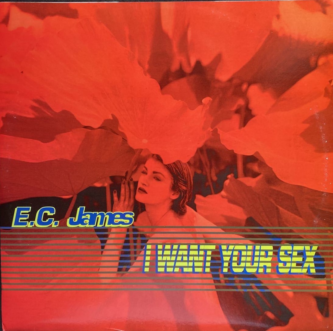 I Want Your Sex Eurobeat Wiki Fandom