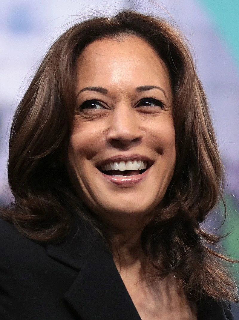 2028 US Presidential Election | European Federation Wiki | Fandom