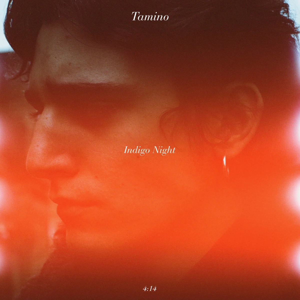 Indigo night | Eurosong Wiki | Fandom