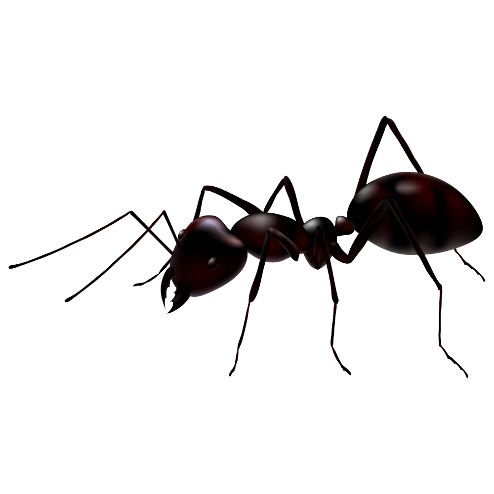 Ant | Evade Fanmade Nextbots Wiki | Fandom