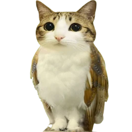 Meowl | Evade Fanmade Nextbots Wiki | Fandom