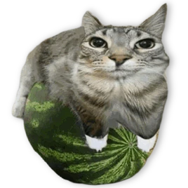 Watermelon Cat | Evade Fanmade Nextbots Wiki | Fandom