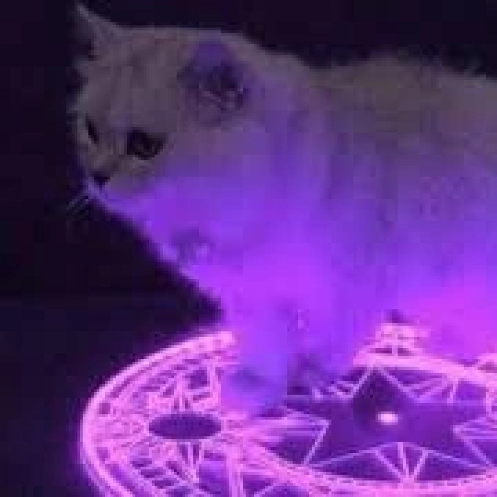 Demonic litlle gray cat | Evade Fanmade Nextbots Wiki | Fandom