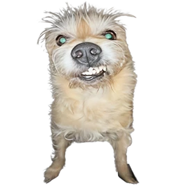 Ropopo | Evade Fanmade Nextbots Wiki | Fandom